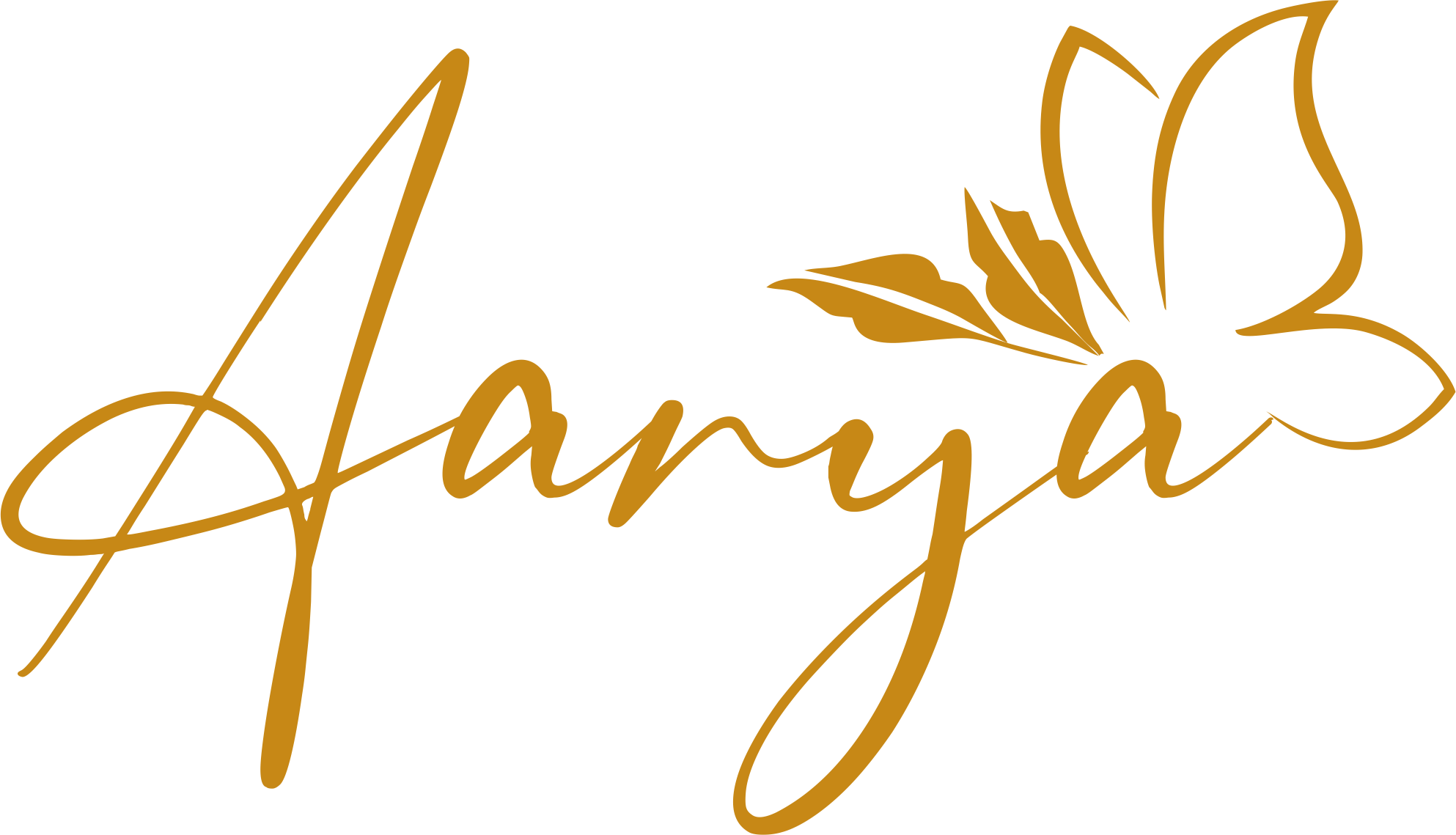 The Aarya Shop Designs Online Store - Shop latest The Aarya Shop ...