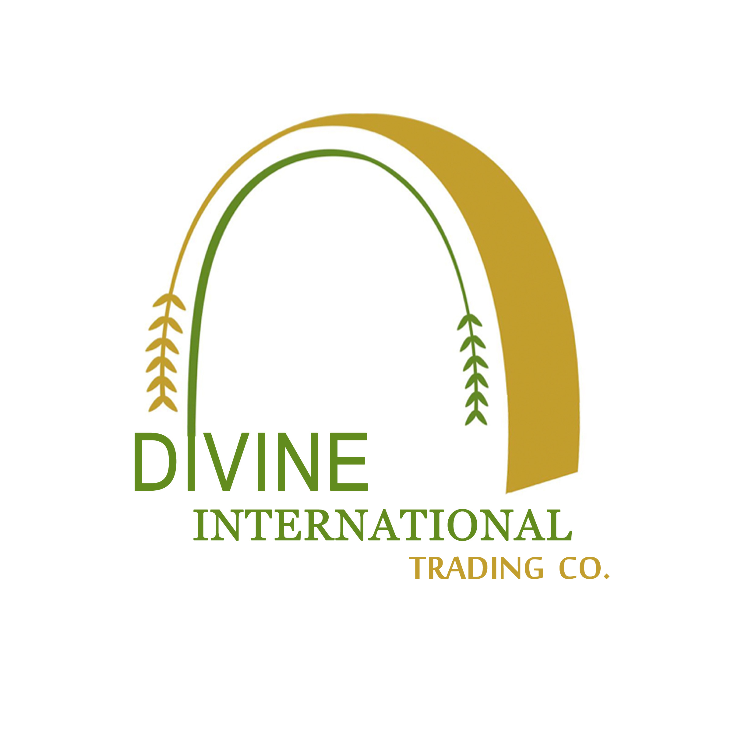 Divine International Trading Co Designs Online Store - Shop latest ...