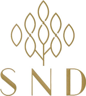Snd Designs Online Store - Shop latest Snd collections @ Best Price